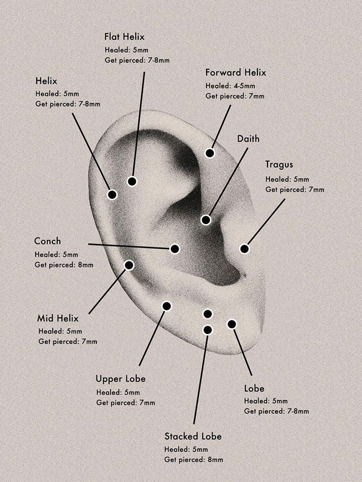 Double Wave Piercing Øreddob | Maria Black
